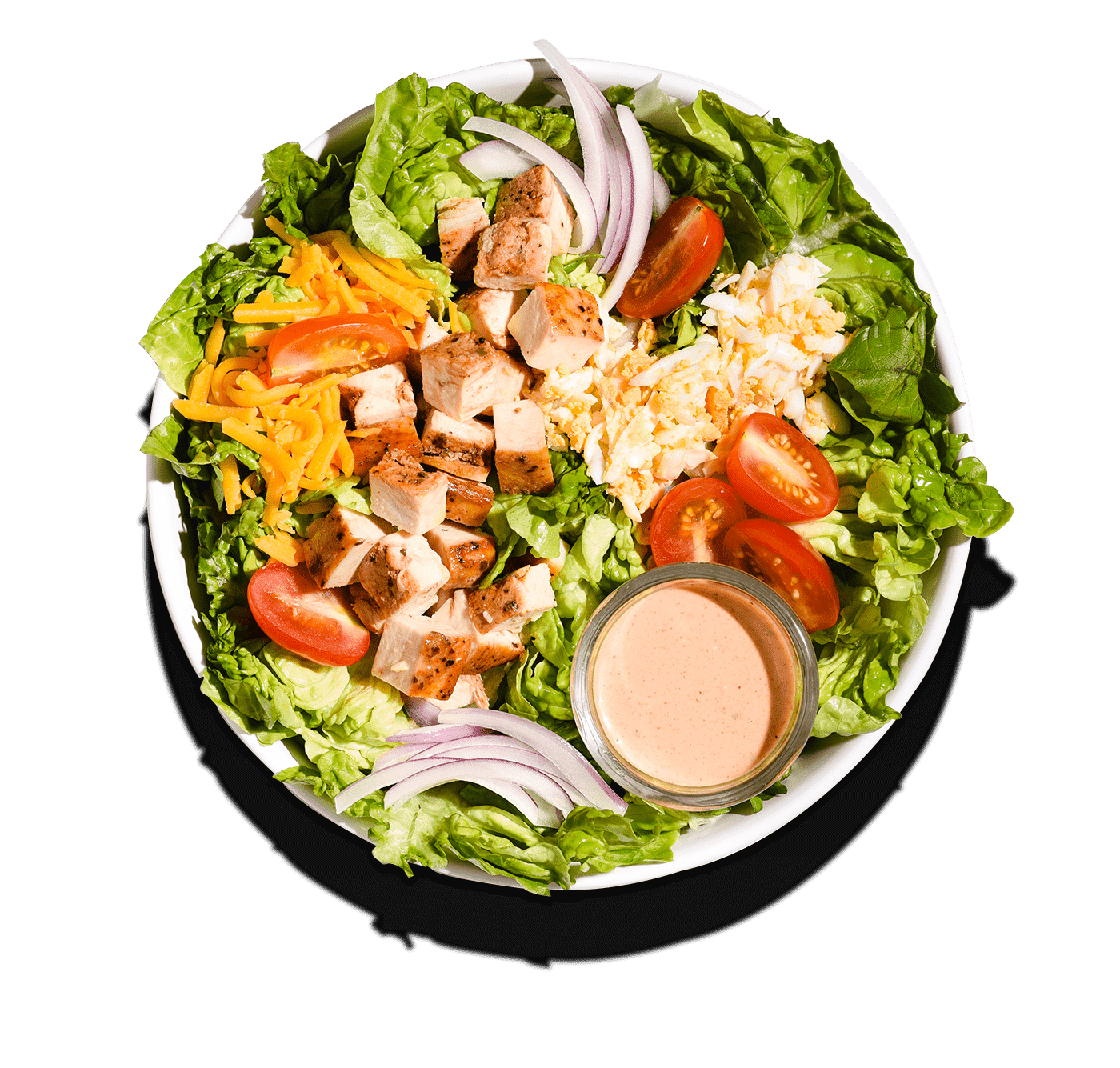 Landing Page - SaladStop